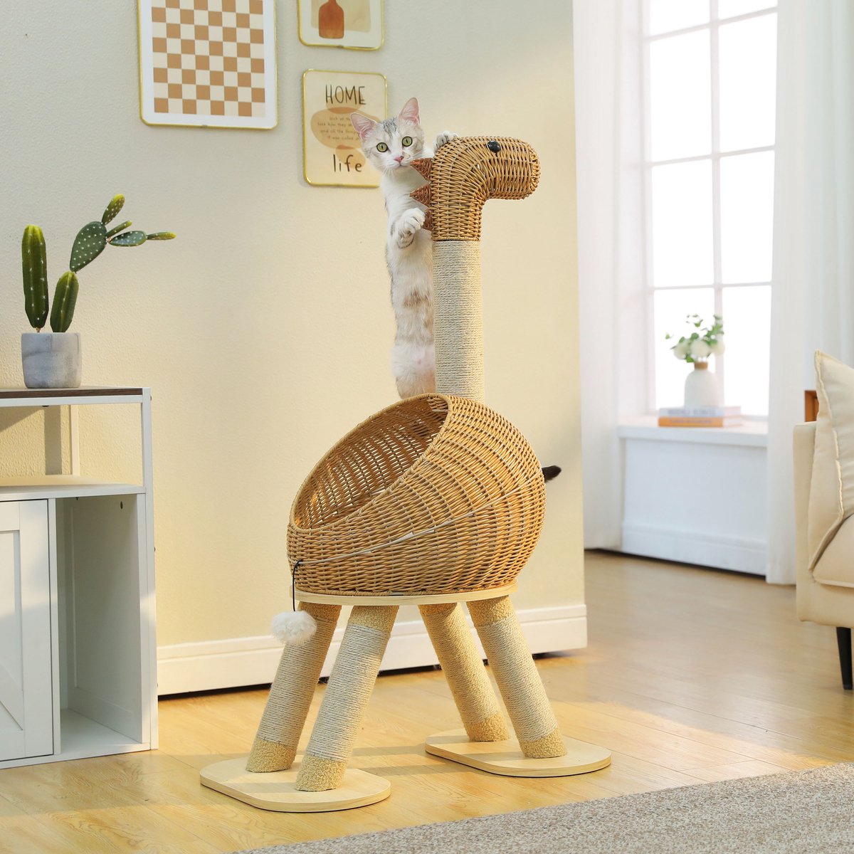Design krabpaal kopen? Stijlvol en duurzaam bij Kattenu